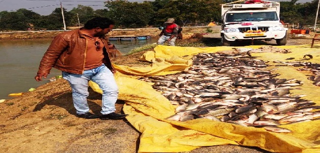 Fisheries became the main source of income for Murari, maintaining the ...