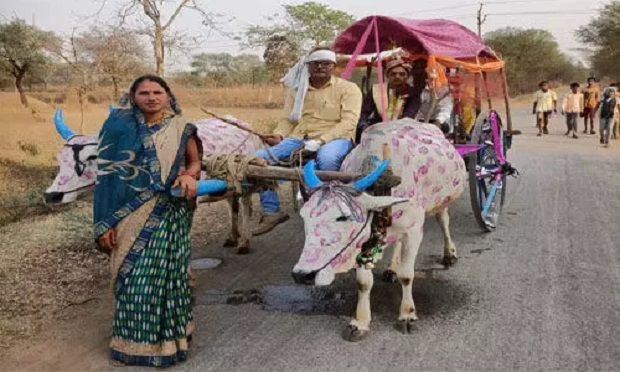 procession by horse or bullock cart