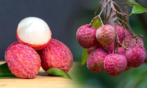Benefits of Litchi for good Health