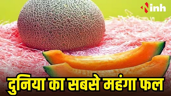 World's Most Expensive Fruit: World's most expensive fruit, you will be ...