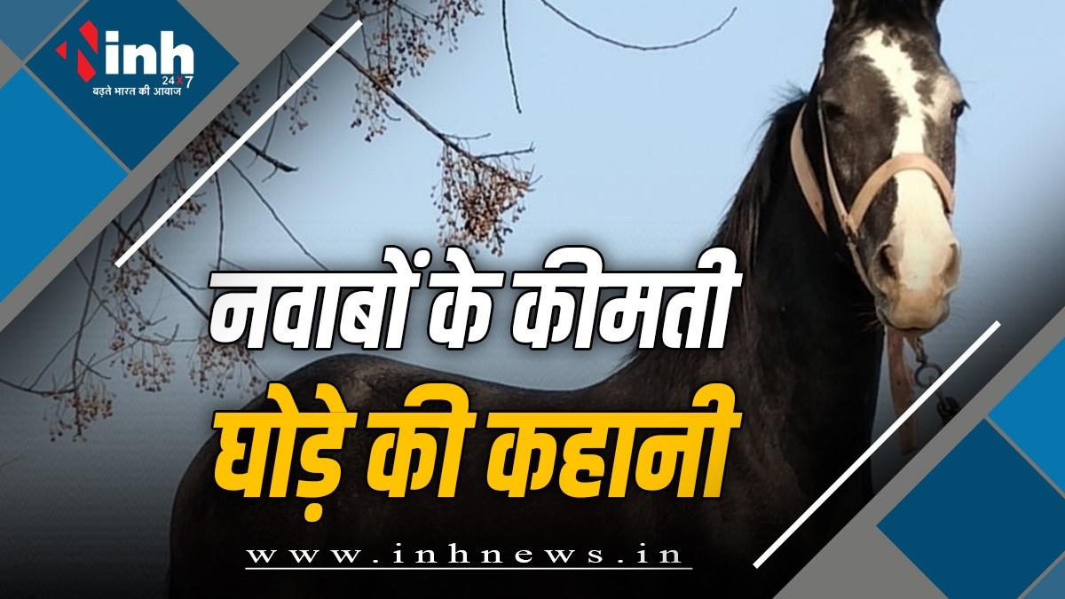 Astabal Mohalla : इन मोहल्लों में बांधे जाते थे नवाबों के कीमती घोड़े ...