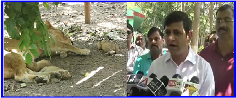 इस खबर में पढ़िए कमला नेहरू प्राणी संग्रहालय में आए नन्हे मेहमान 0721